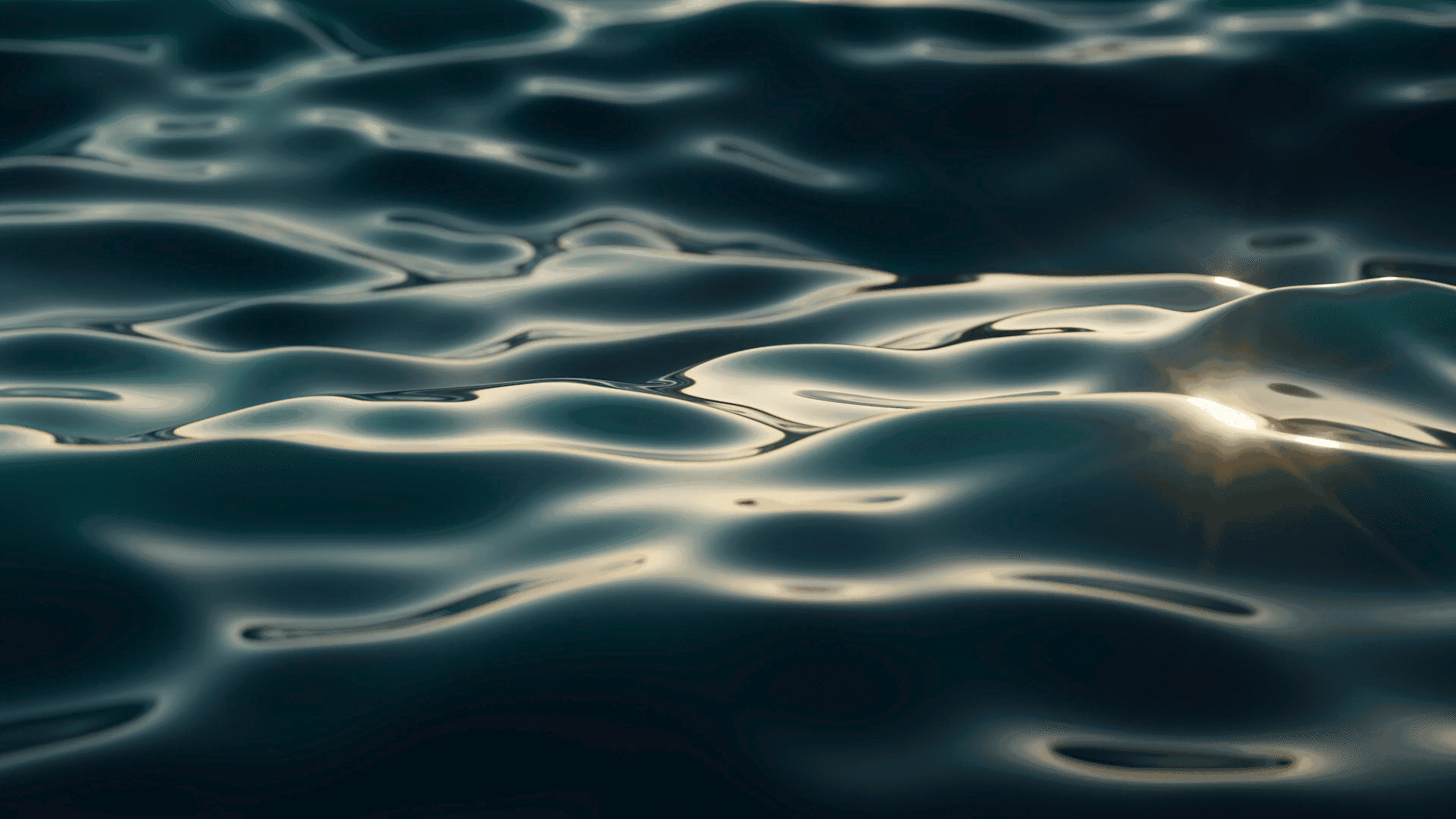 Stora blå - Sjöfartsmuseet Akvariet