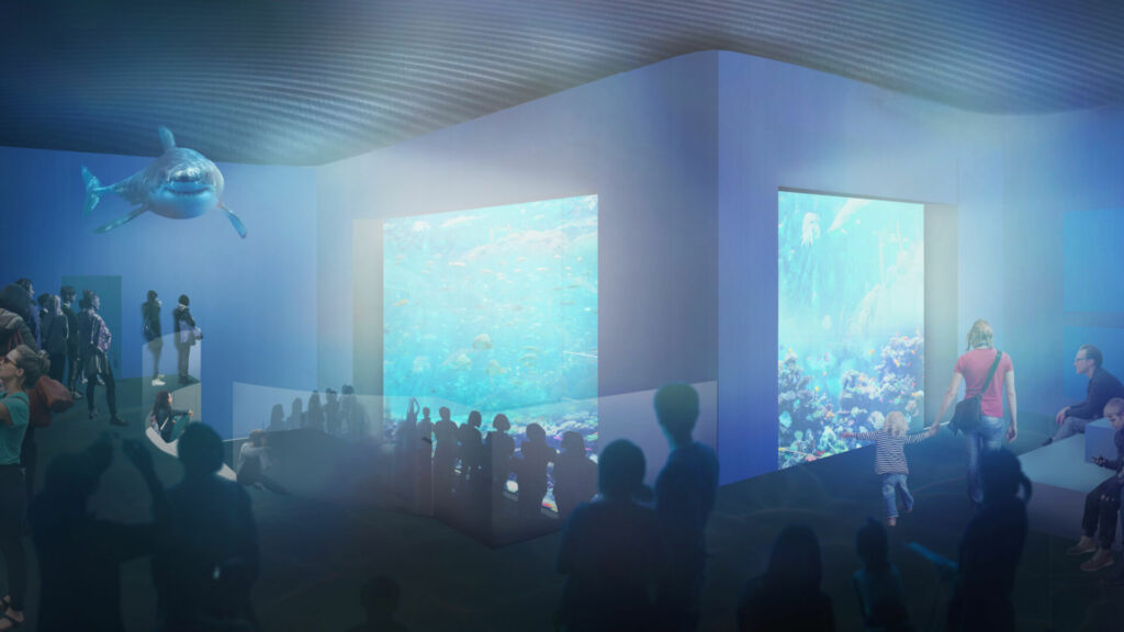 Aquarium - Maritime Museum and Aquarium