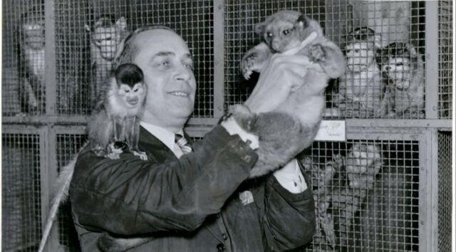 Aporna på museet - Sjöfartsmuseet Akvariet