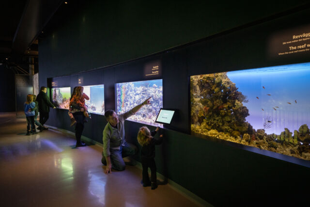 Aquarium - Maritime Museum and Aquarium